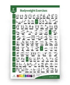 Bodyweight Exercises Poster - Prohealthsys Canada