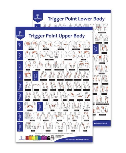 Trigger Points Posters - Upper and Lower Body 2-Pack - Prohealthsys Canada