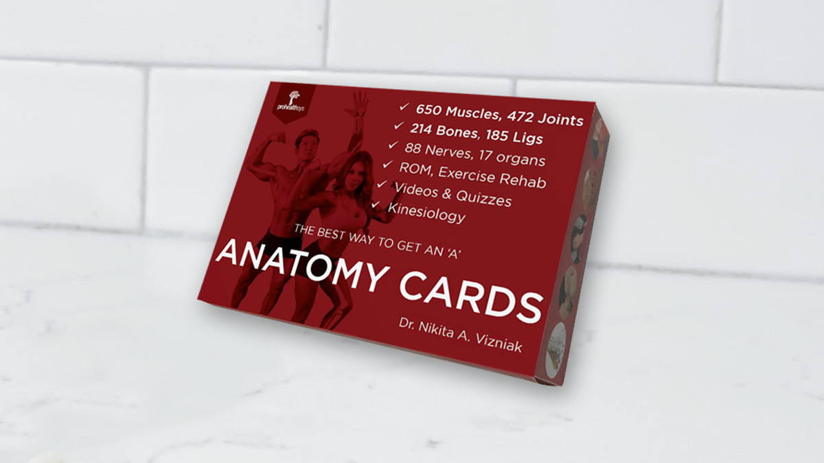 Muscle Manual Anatomy Cards
